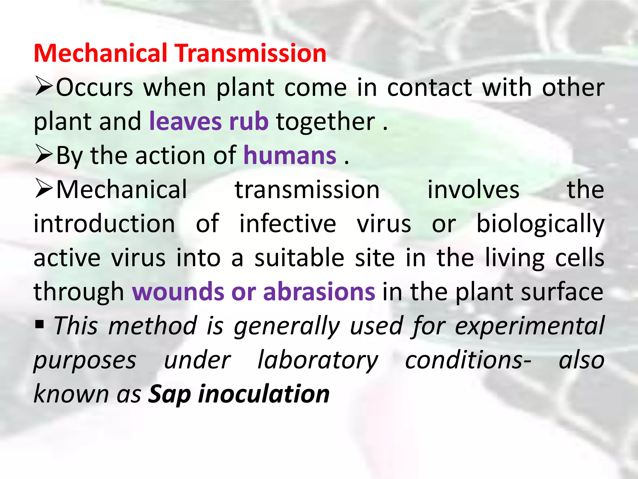 Transmission of plant virus | PPTX