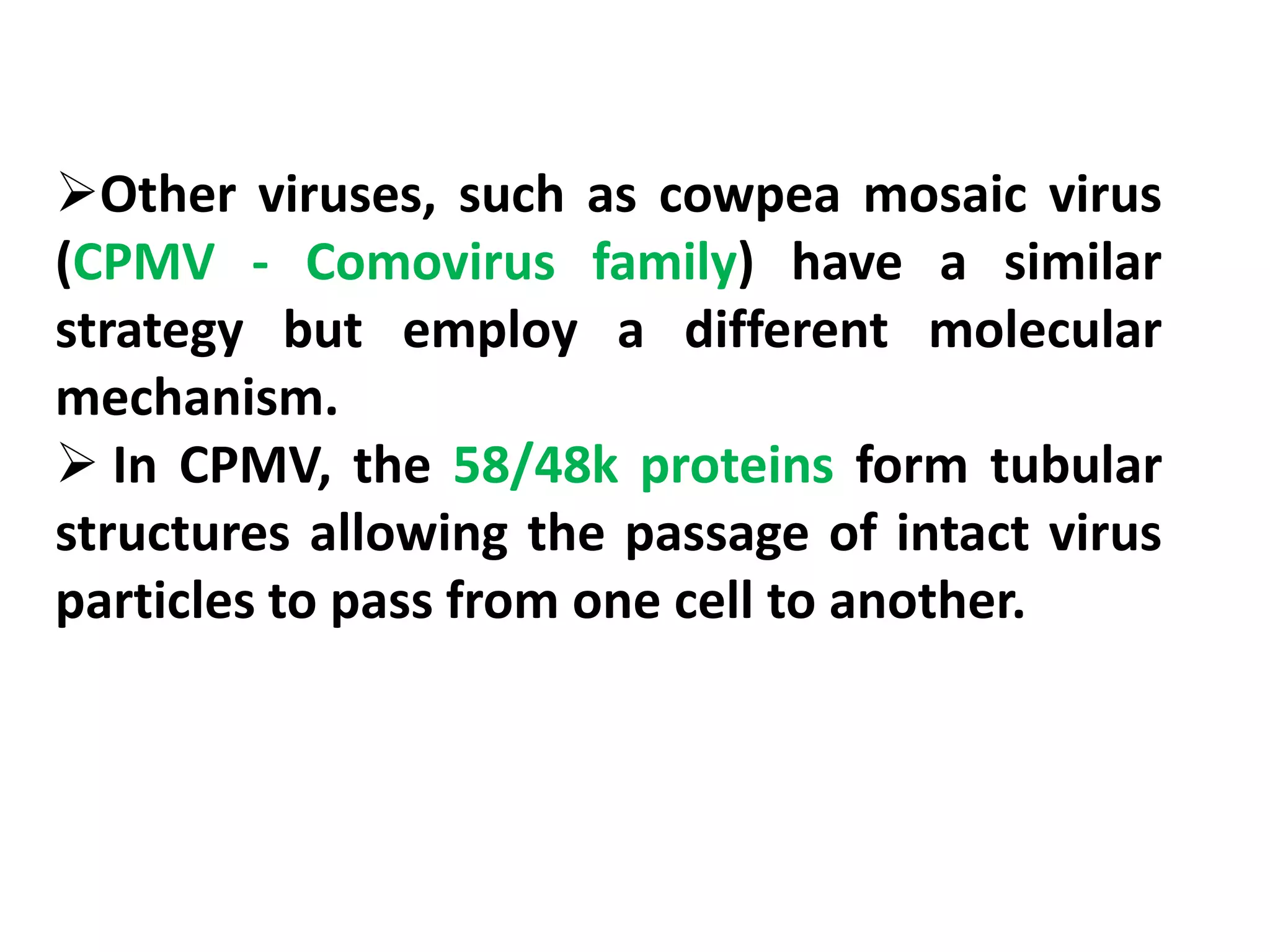 Transmission of plant virus | PPTX