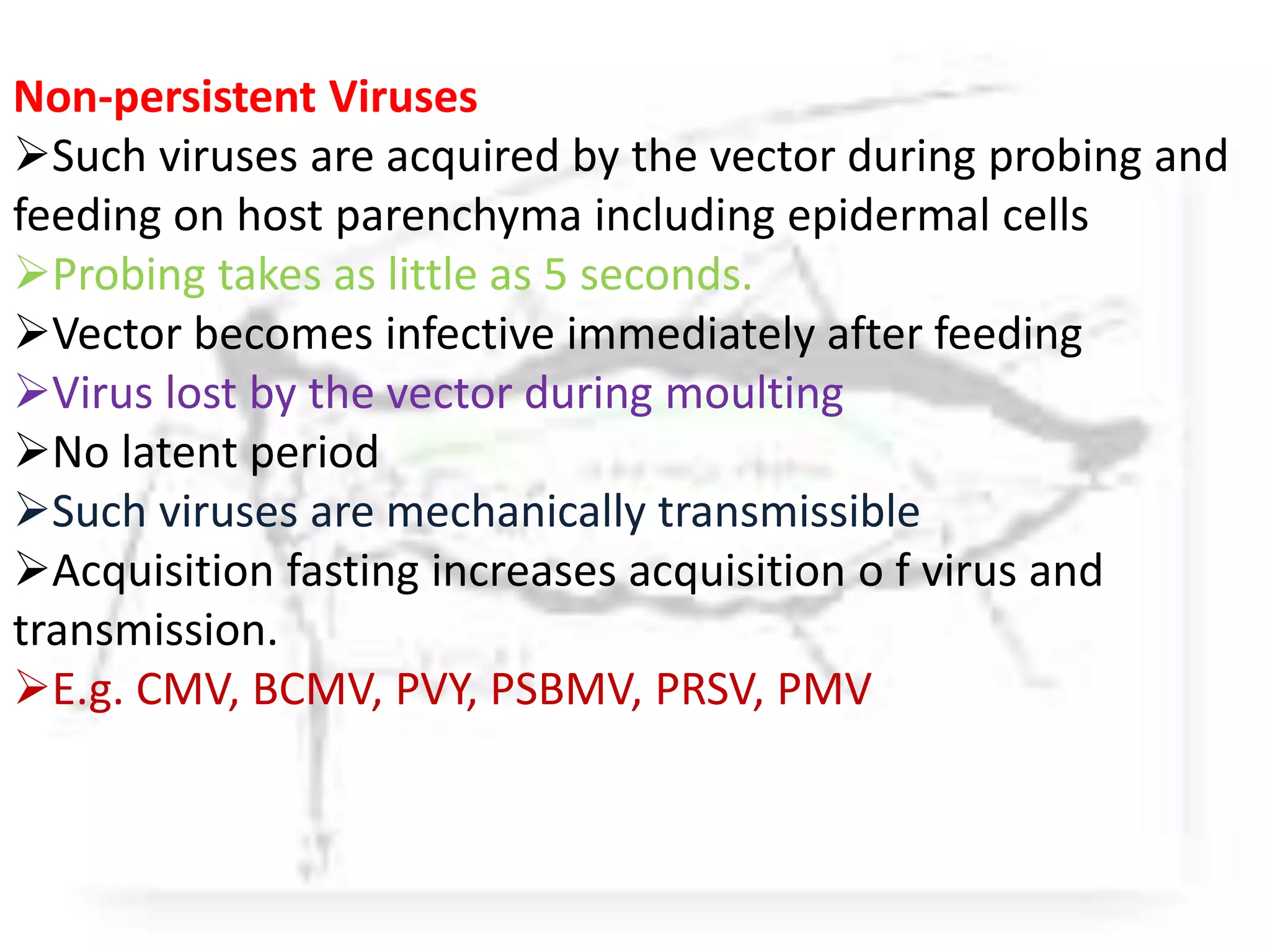 Transmission of plant virus | PPTX