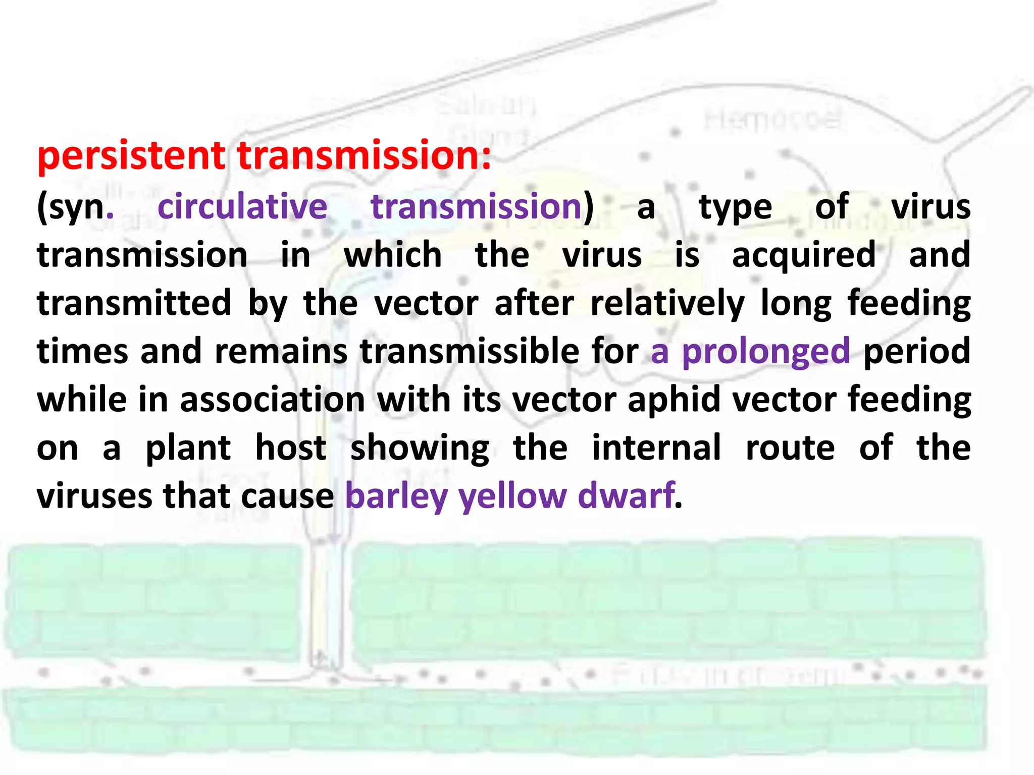 Transmission of plant virus | PPTX