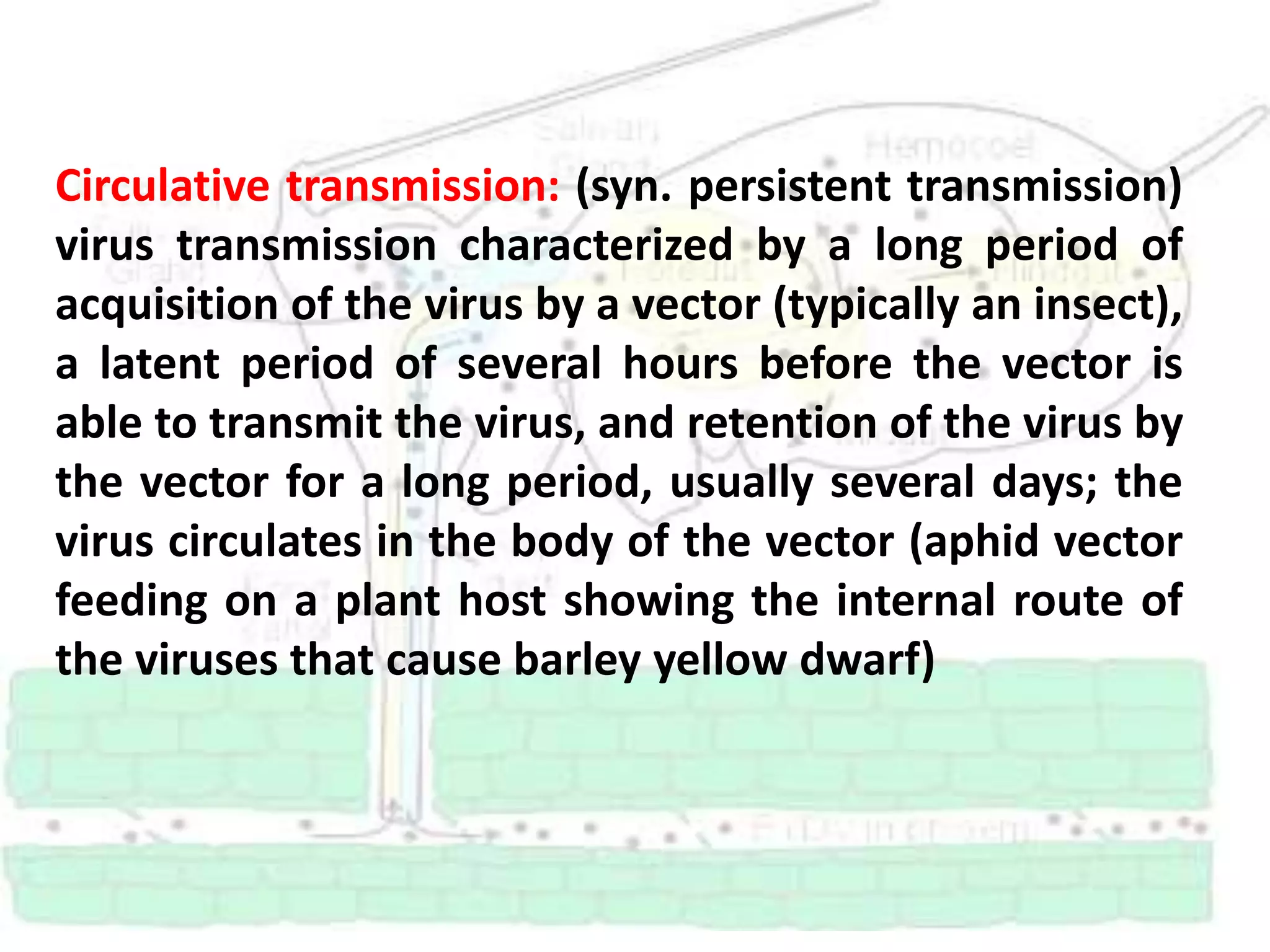 Transmission of plant virus | PPTX