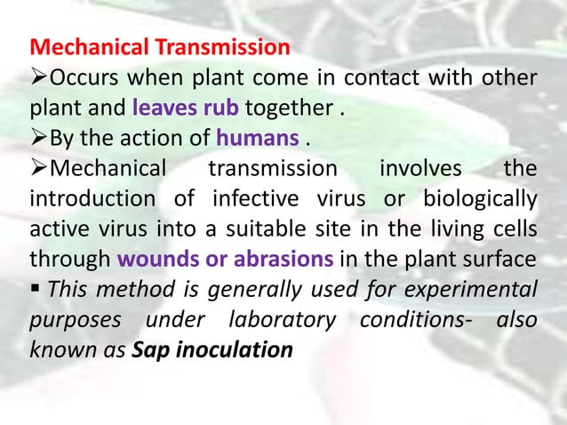 Transmission of plant virus | PPTX
