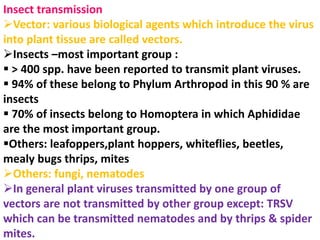 Transmission of plant virus | PPTX