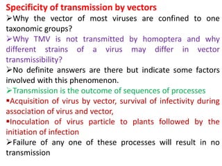 Transmission of plant virus | PPTX