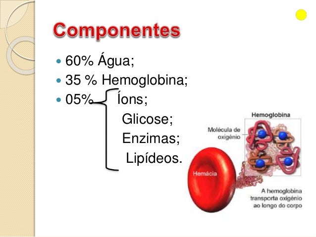 Hemácias Revisão Completa
