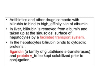 heme-catabolism.ppt