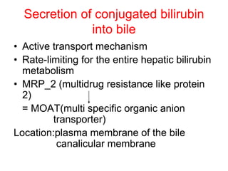 heme-catabolism.ppt