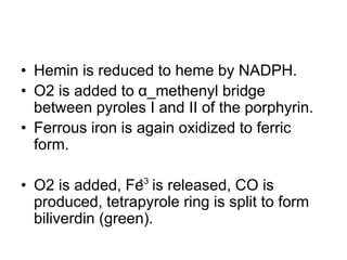 heme-catabolism.ppt