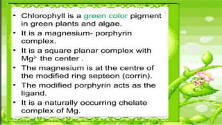 heme and chlorophyll.pptx