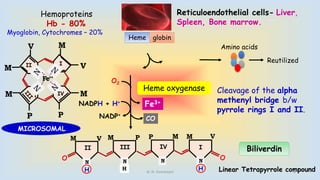 Heme catabolism and jaundice | PPSX