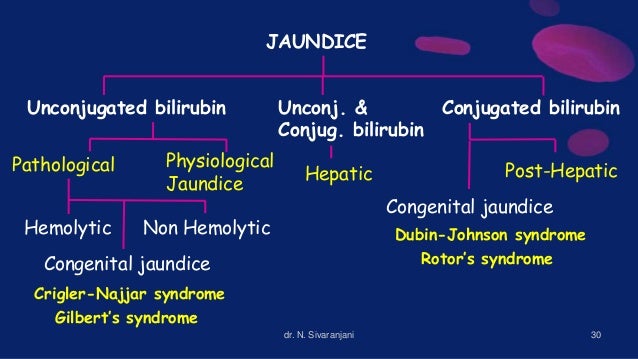 Heme catabolism and jaundice