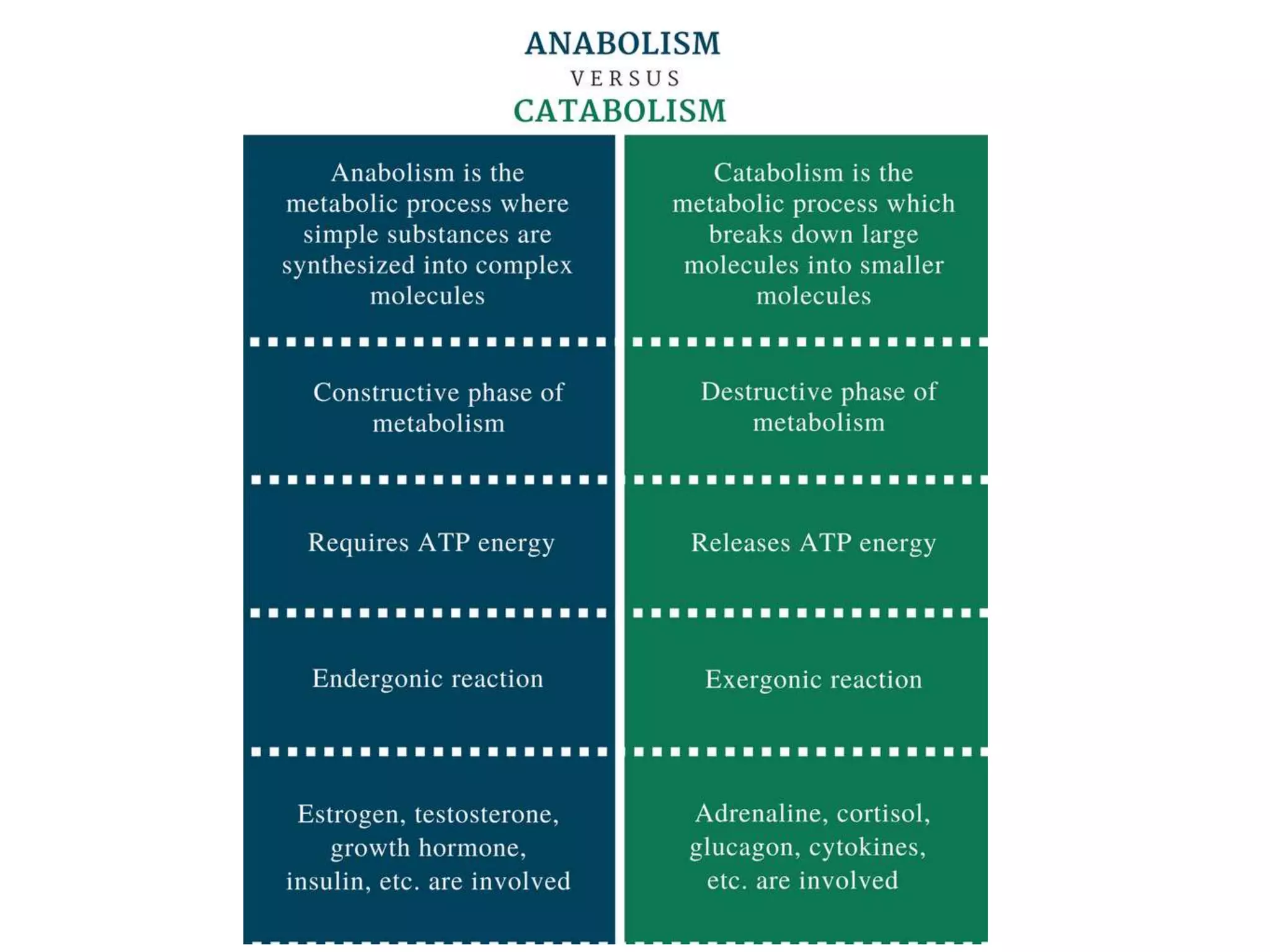 Heme catabolism | PPTX