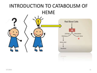 Heme catabolism | PPTX