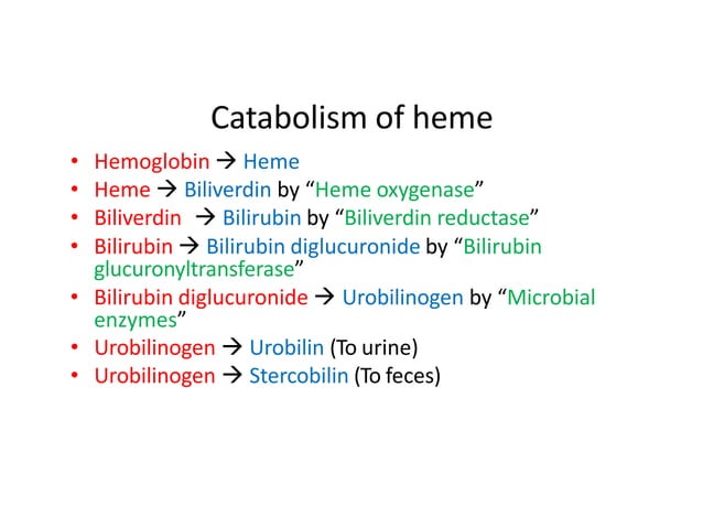Heme catabolism | PPTX