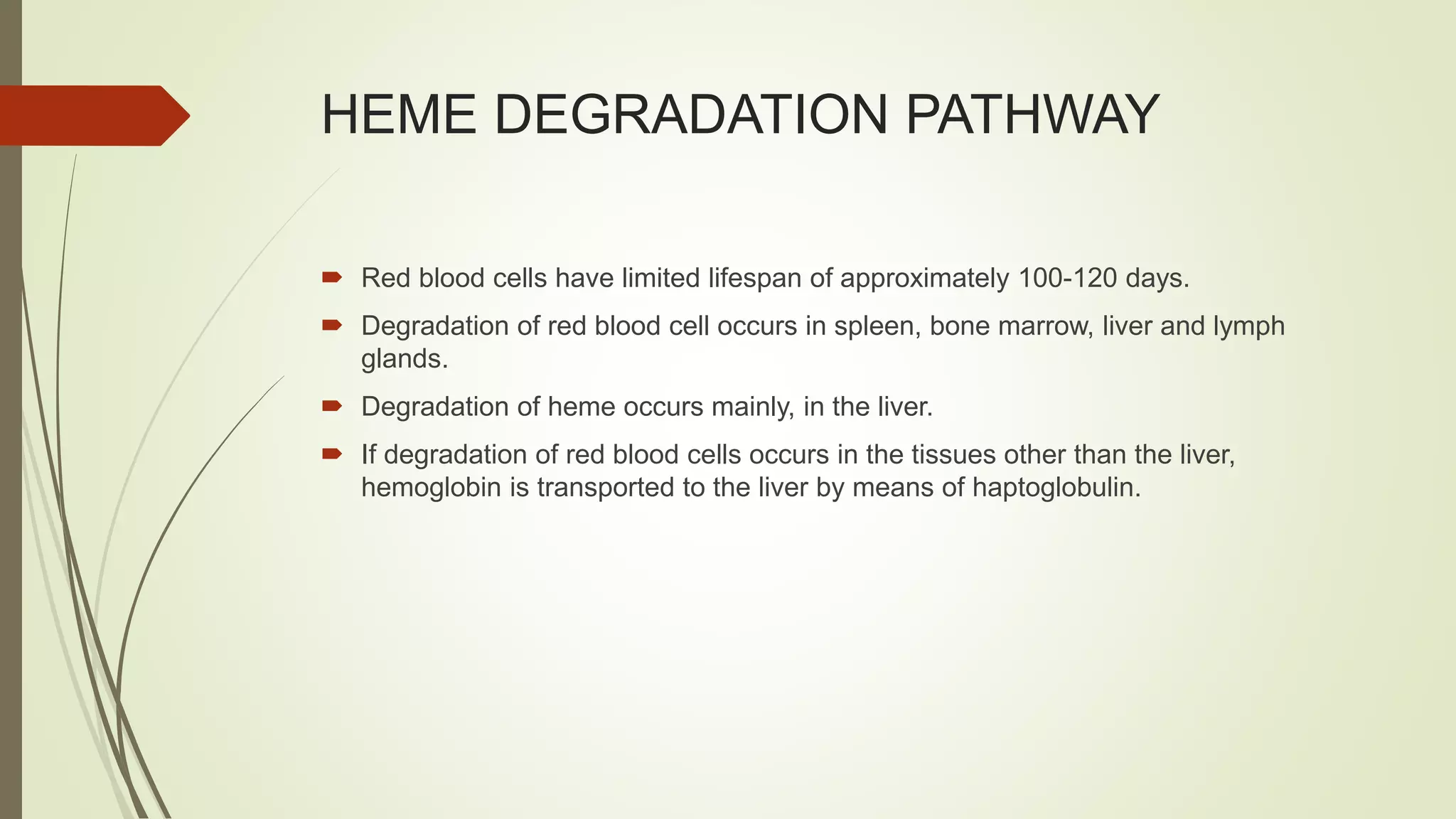 Heme catabolism.pptx