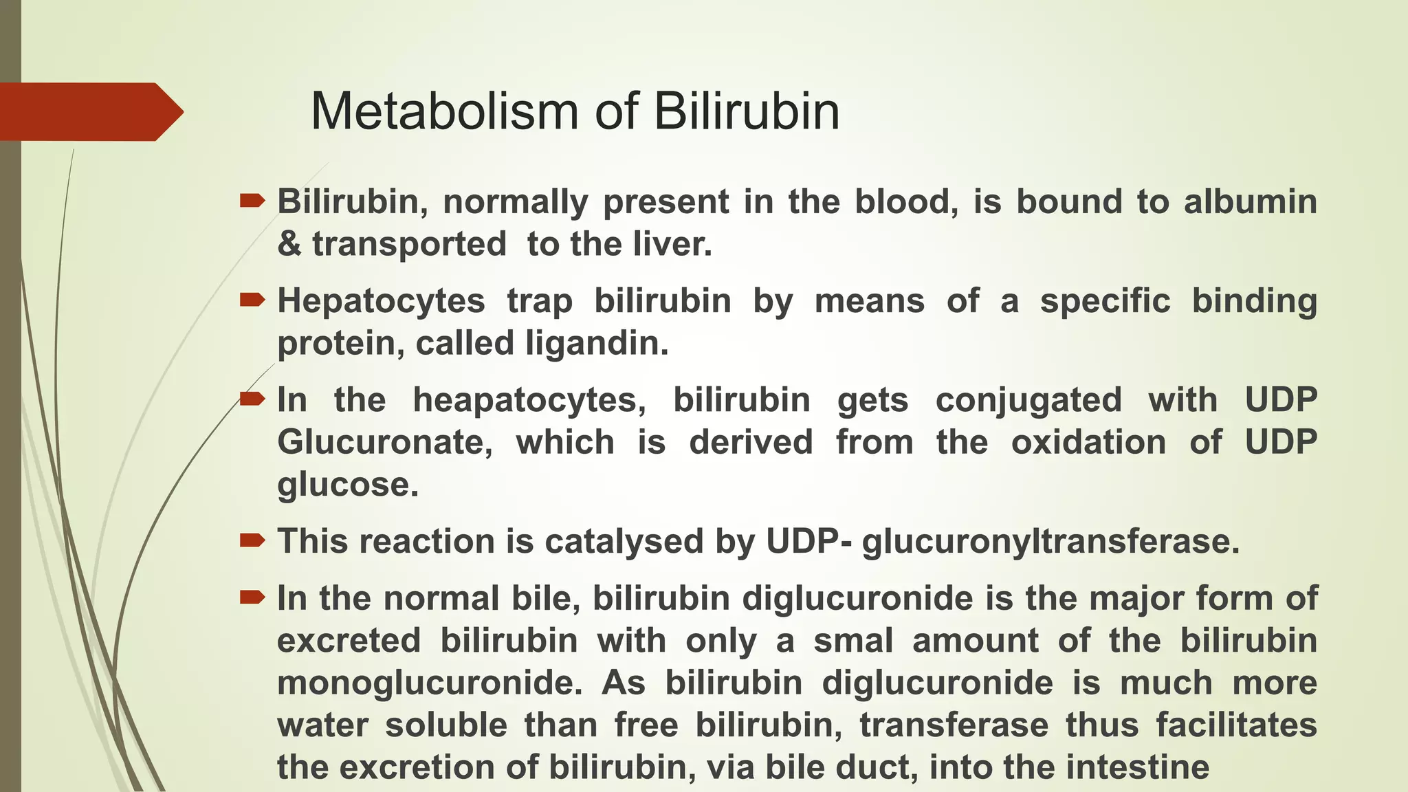 Heme catabolism.pptx