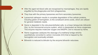 Heme catabolism.pptx