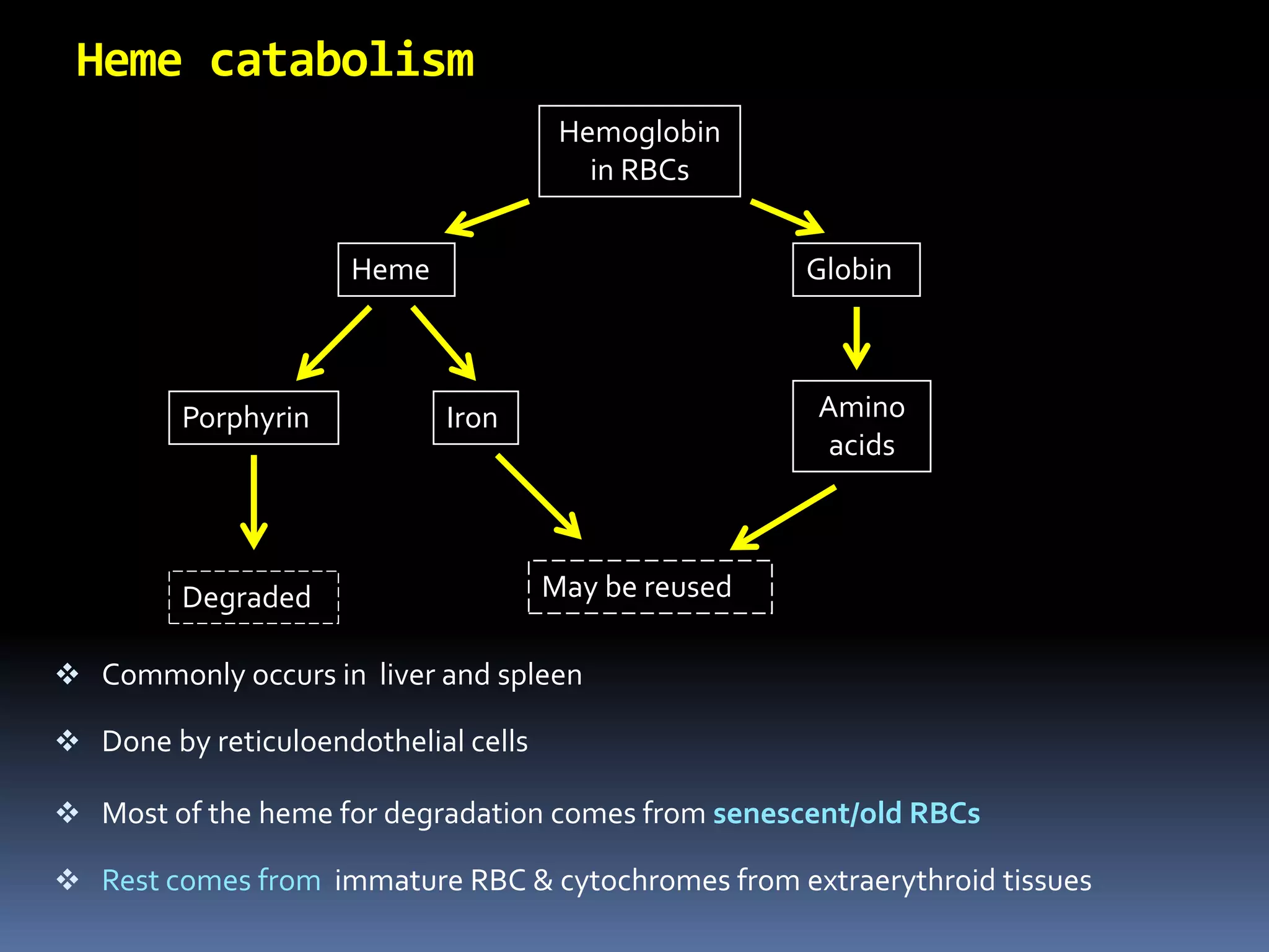 Heme Catabolism.ppt