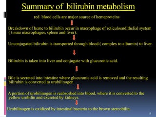Heme Catabolism.ppt