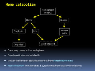 Heme Catabolism.ppt