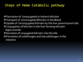 Heme Catabolism.ppt