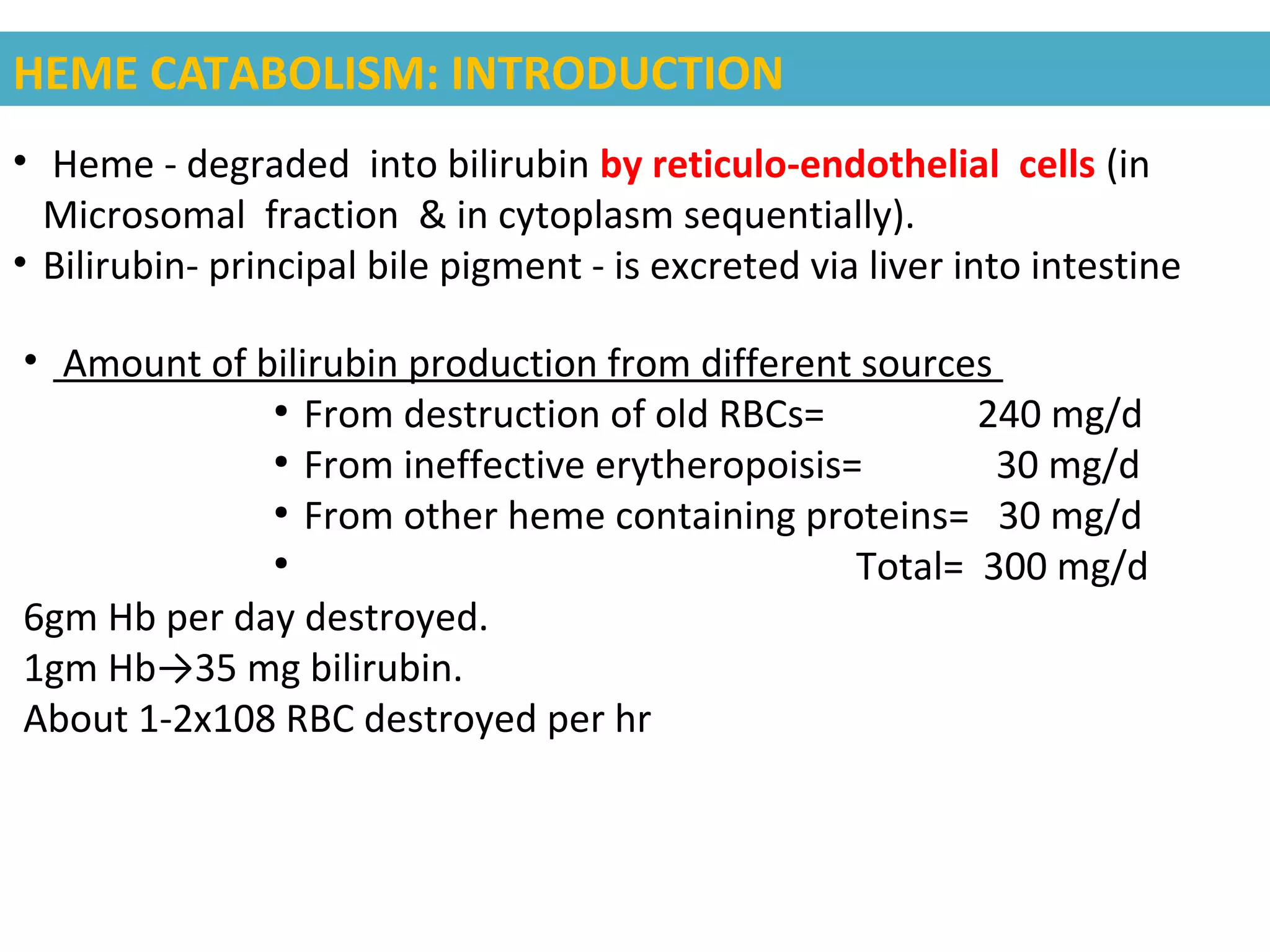 Heme catabolism jaundice class | PPT