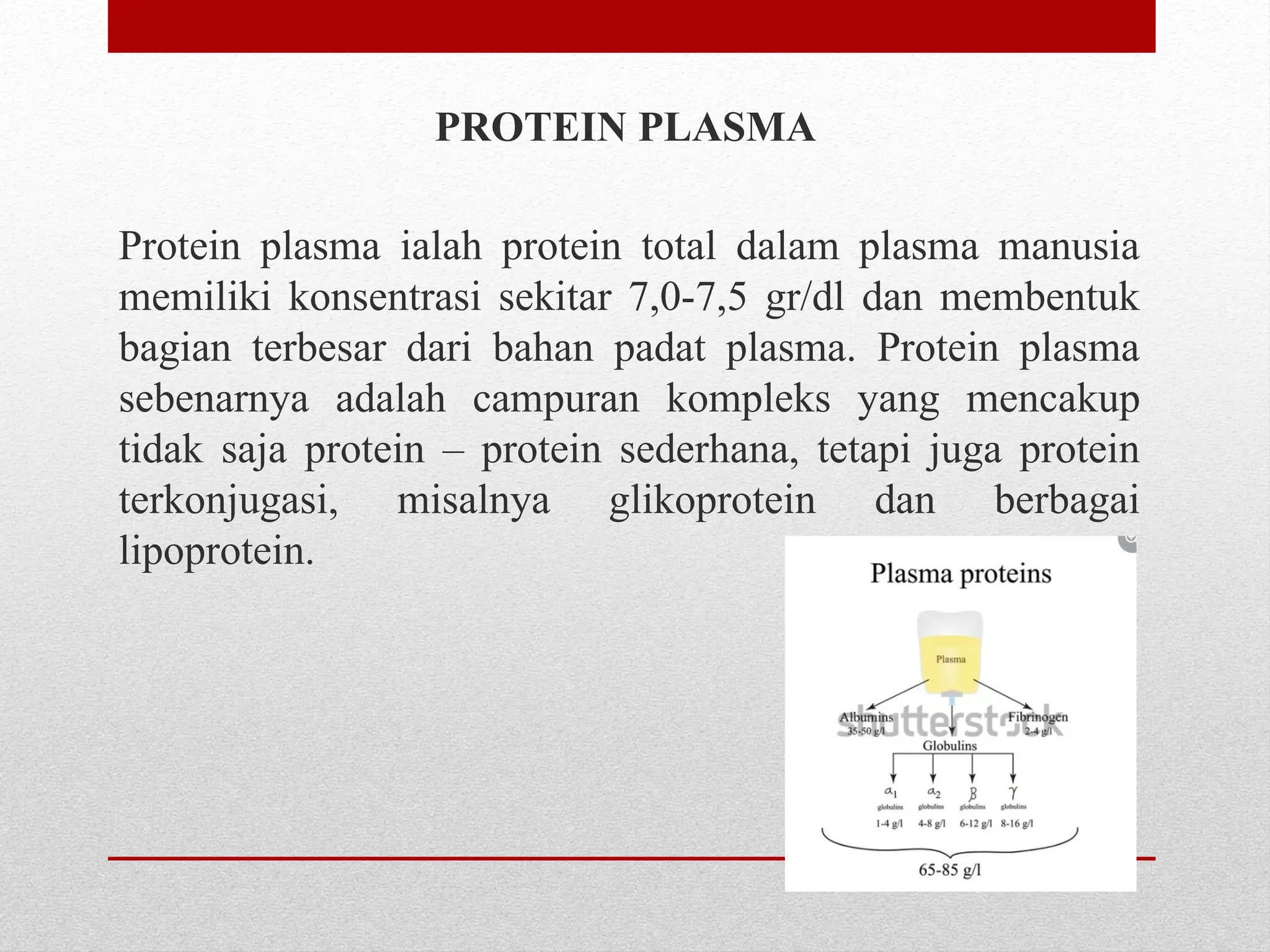 HEME ,DARAH DAN PROTEIN PLASMA seldarah merah | PPTX