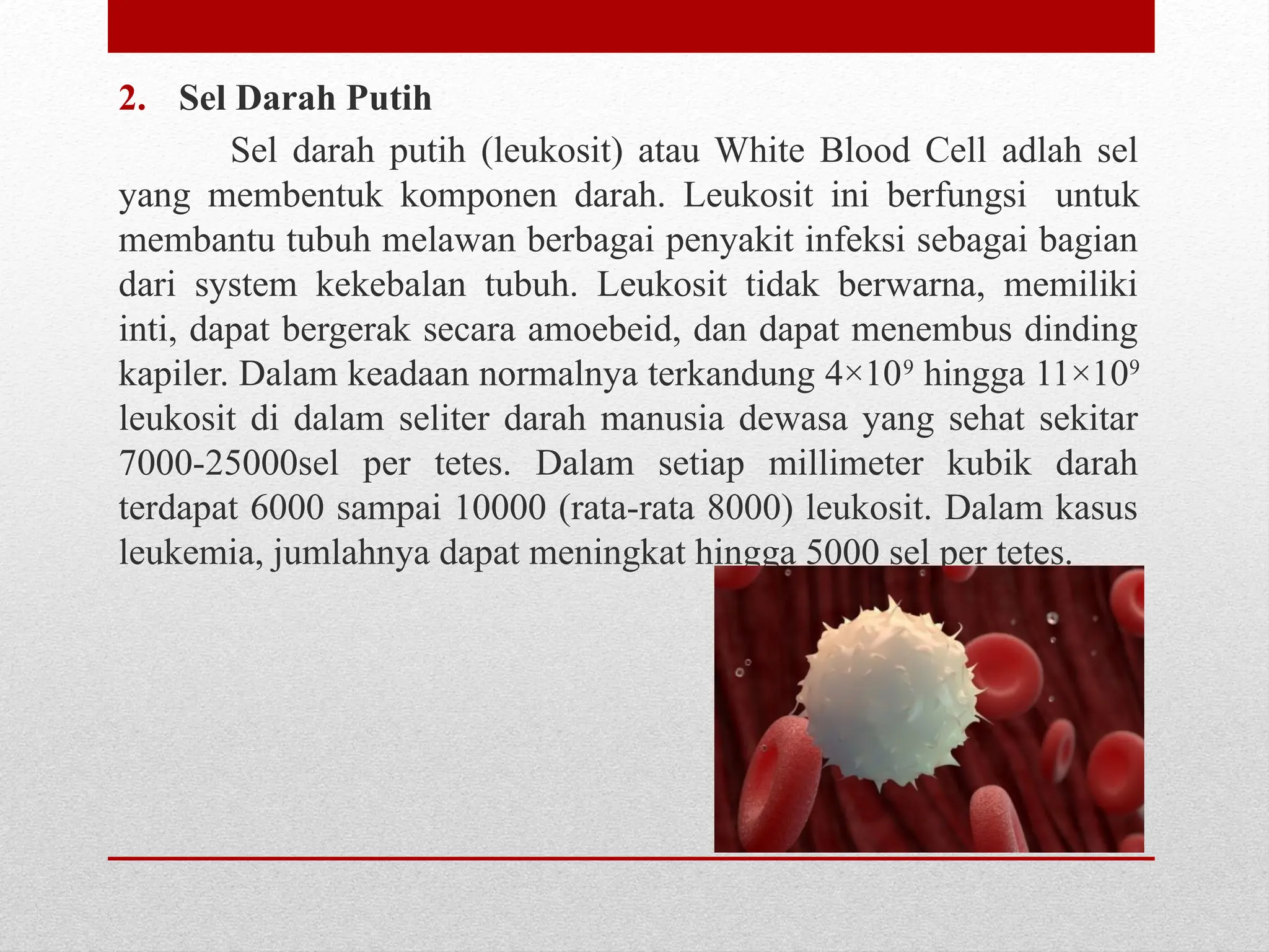 HEME ,DARAH DAN PROTEIN PLASMA seldarah merah | PPTX