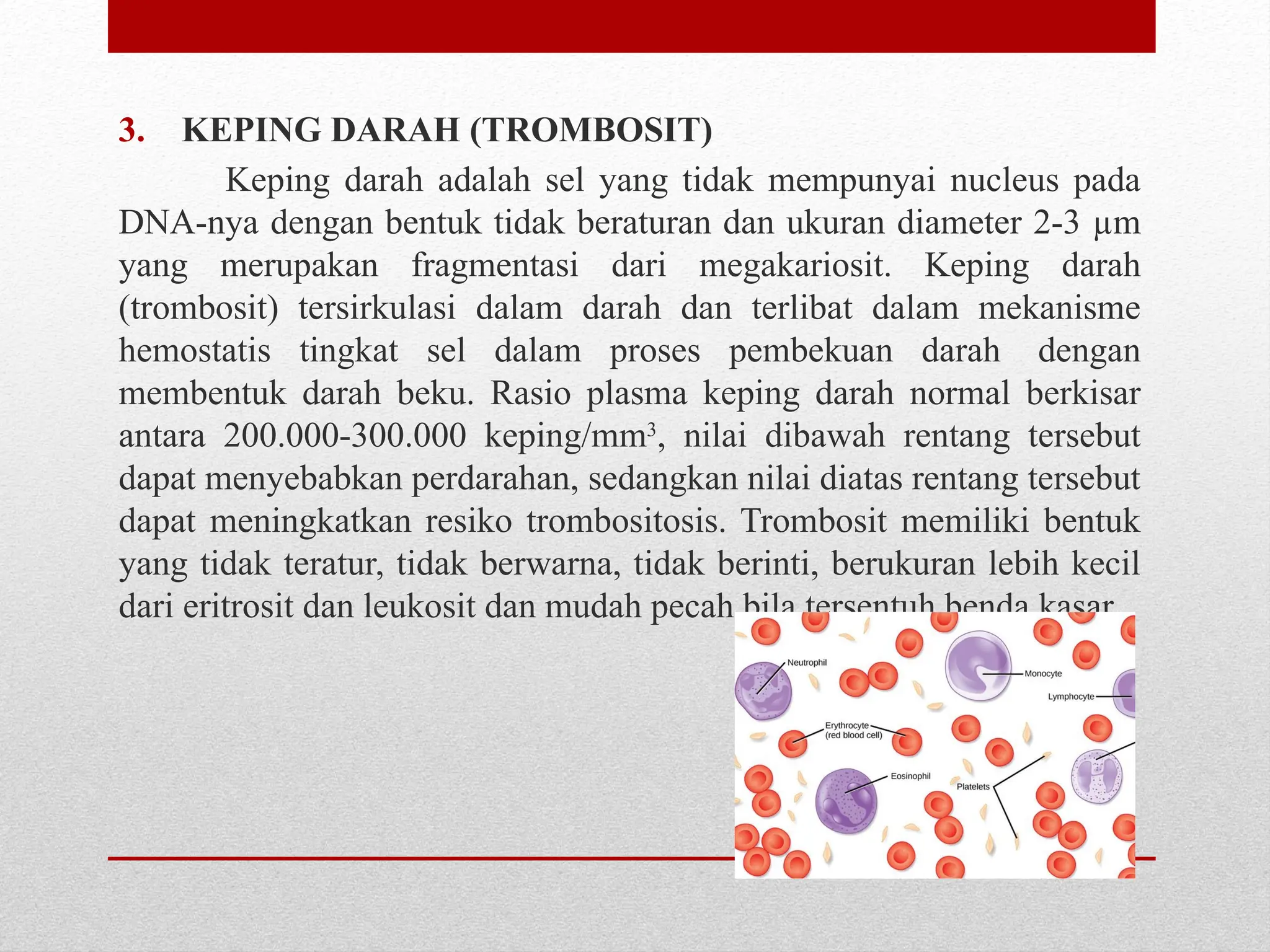 HEME ,DARAH DAN PROTEIN PLASMA seldarah merah | PPTX