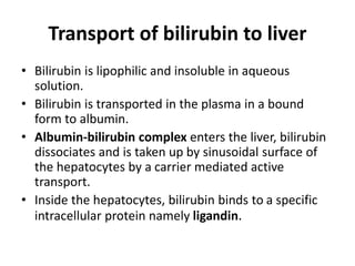 HEME DEGRADATION and Jaundice Powerpoint presentation | PPTX