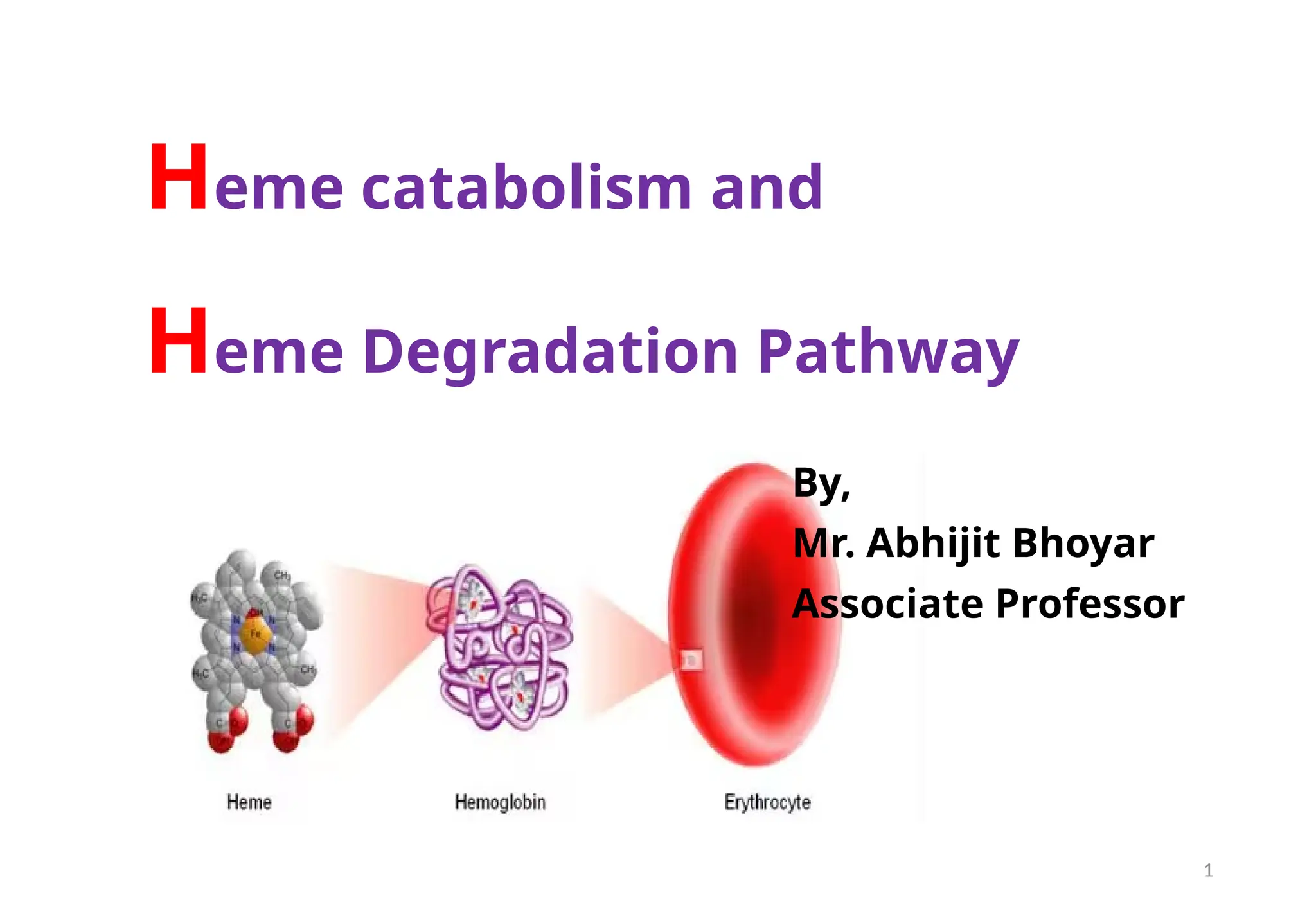 Heme degradation pathway- I.pptx_Nursing students | PPTX