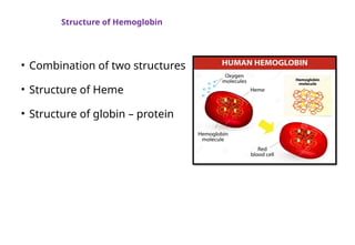 Heme degradation pathway- I.pptx_Nursing students | PPTX