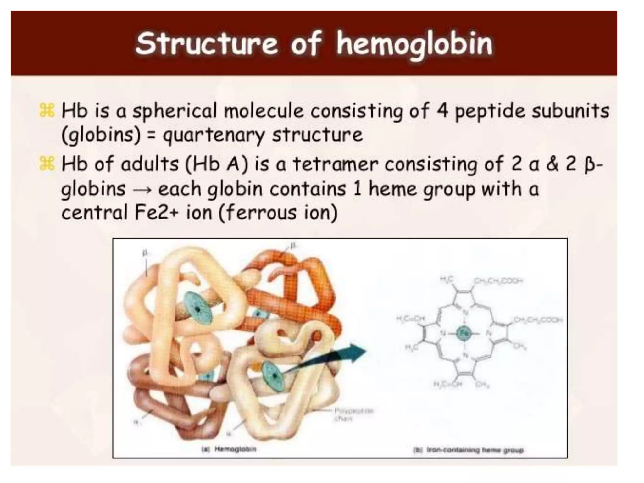 Heme metabolism | PPTX