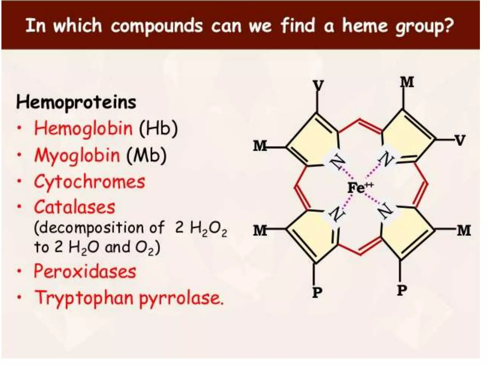 Heme metabolism | PPTX