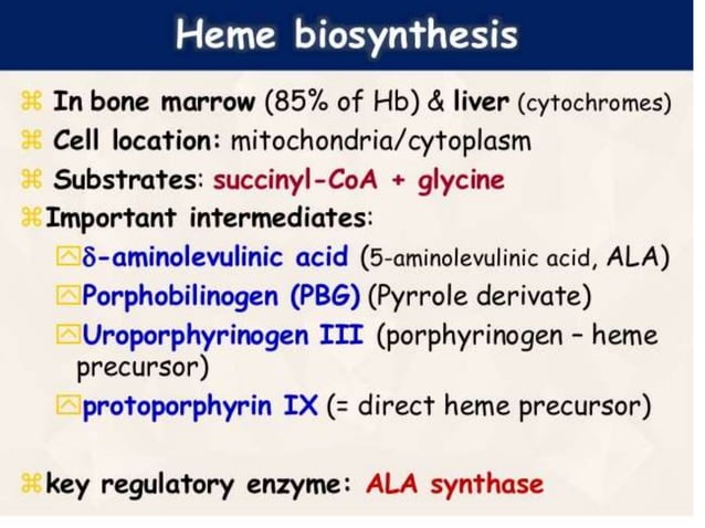 Heme metabolism | PPTX