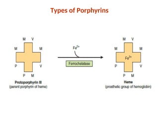 Heme_metabolism and porphyria cutaneous manifestation | PPT