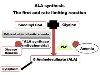 Heme_metabolism and porphyria cutaneous manifestation | PPT