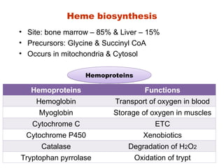 Heme_metabolism and porphyria cutaneous manifestation | PPT
