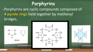Heme Metabolism (1).pptx | Chemistry | Science