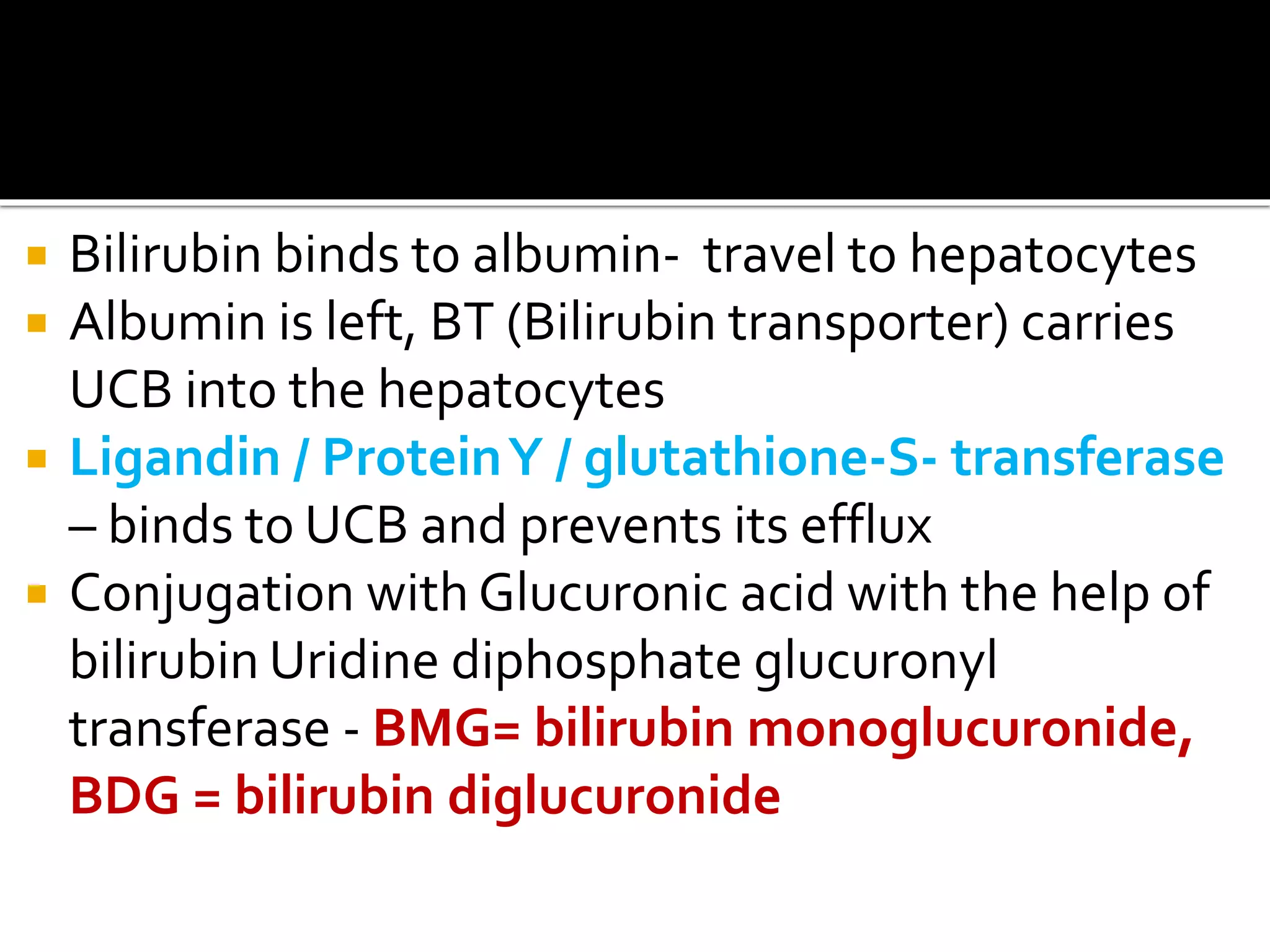 Heme metabolism & jaundice | PPTX