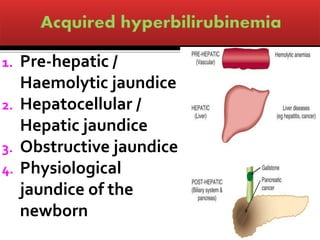 Heme metabolism & jaundice | PPTX