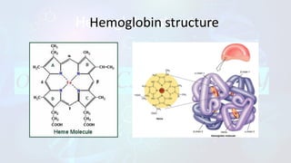 Hemoglobin structure and hemoglobinopathies- A quick revision | PDF