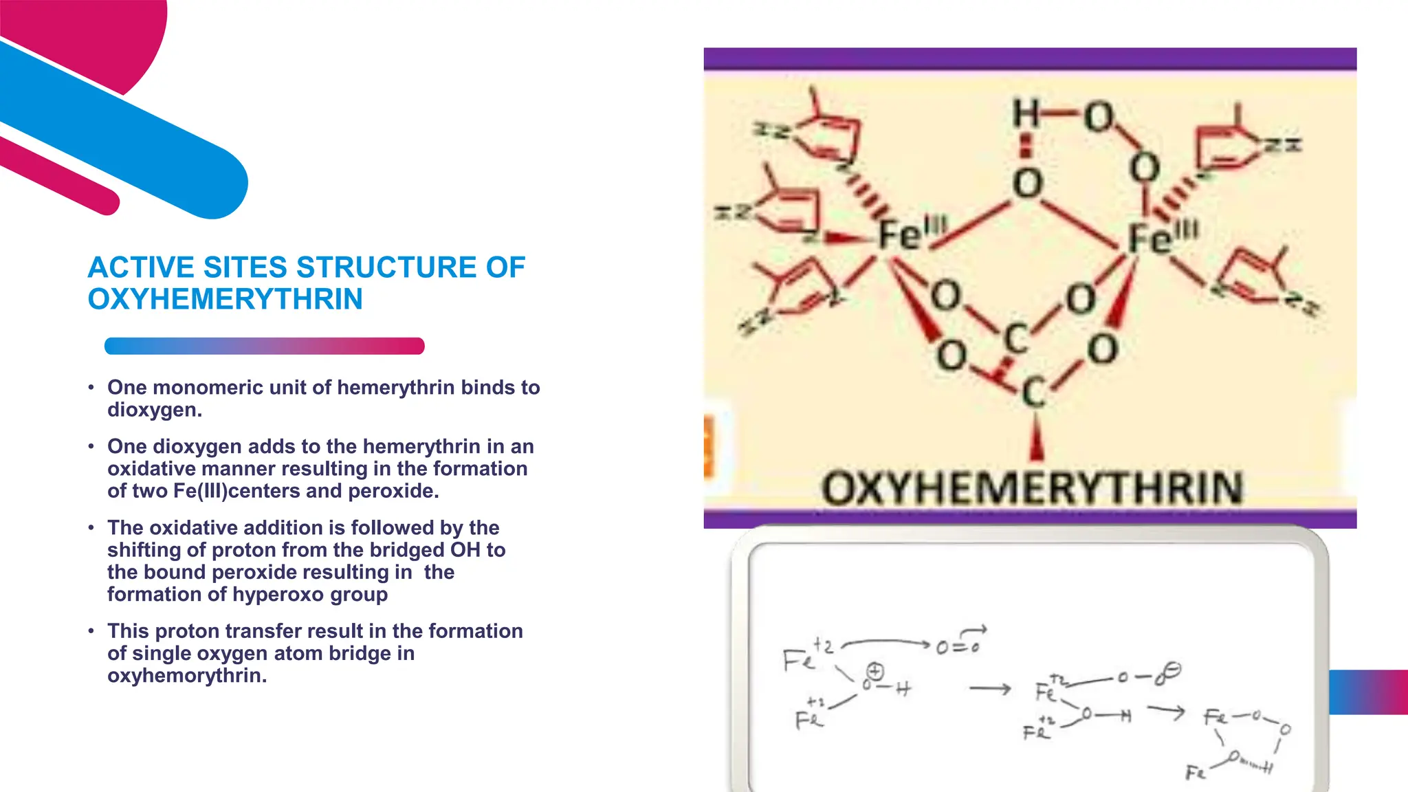 HEMERYTHRIN and HEMATIN.pptx solidarityy | PPTX