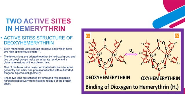 HEMERYTHRIN and HEMATIN.pptx solidarityy | PPT