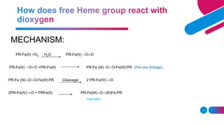 HEMERYTHRIN and HEMATIN.pptx solidarityy | PPT