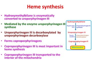 Heme synthesis | PPTX
