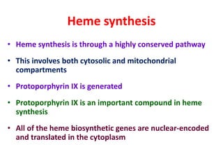 Heme synthesis | PPTX