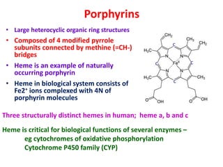 Heme synthesis | PPTX