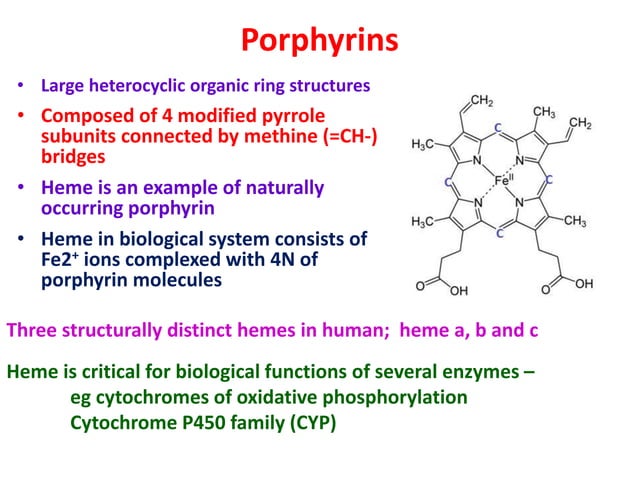 Heme synthesis | PPTX | Blood Disorders | Diseases and Conditions