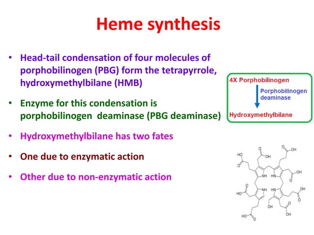 Heme synthesis | PPTX | Blood Disorders | Diseases and Conditions